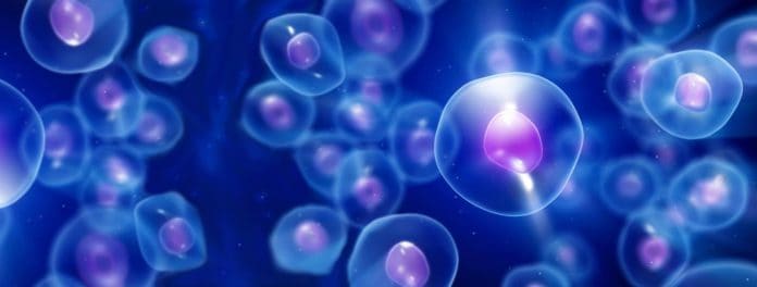 What Is Cell Therapy - Dynamic Stem Cell Therapy